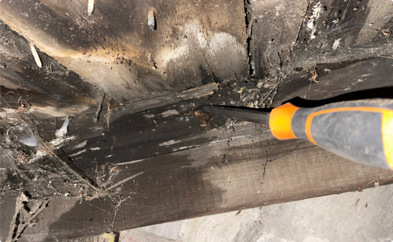 Identify and treat Dry Rot and Wet Rot: A homeowner’s guide - The ...