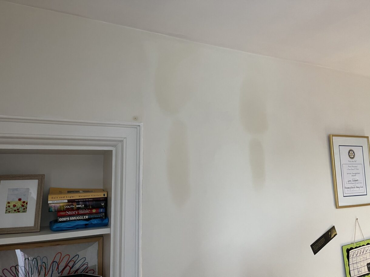 Damp Proofing: A comprehensive guide by local damp specialists