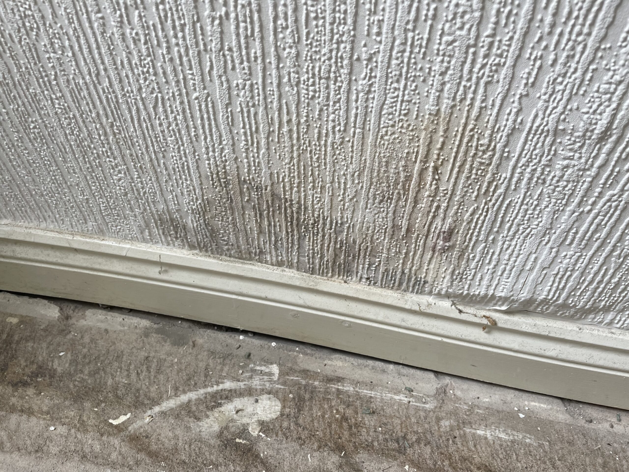 Rising Damp Treatment & Prevention