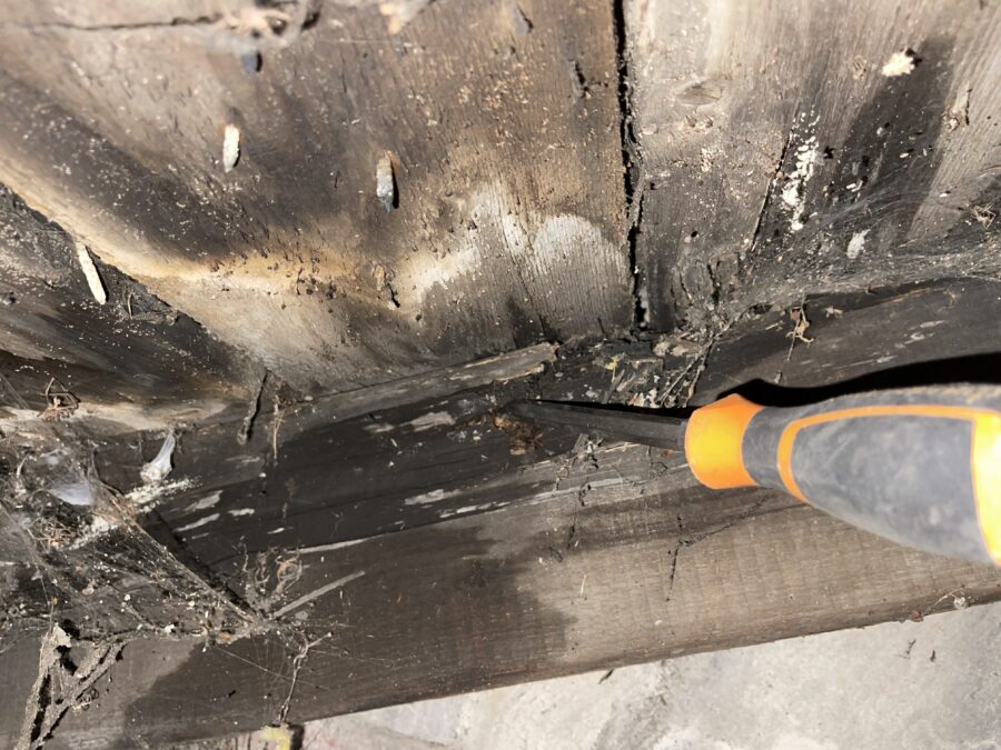 What is the difference between wet rot and dry rot?