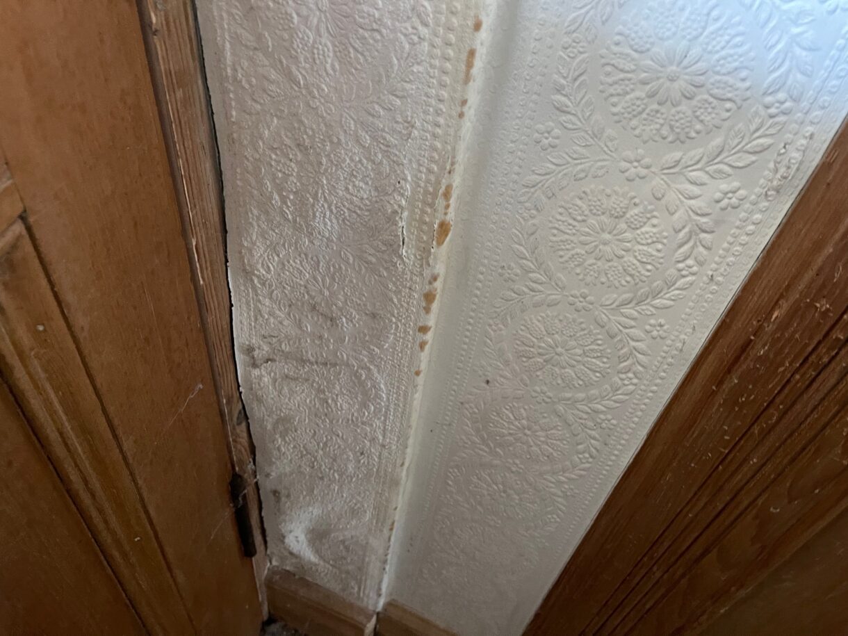 What Is Rising Damp & How To Treat It