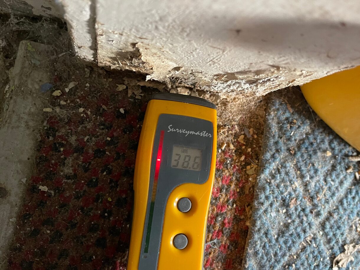 How to spot early signs of damp in your home - The Preservation Company