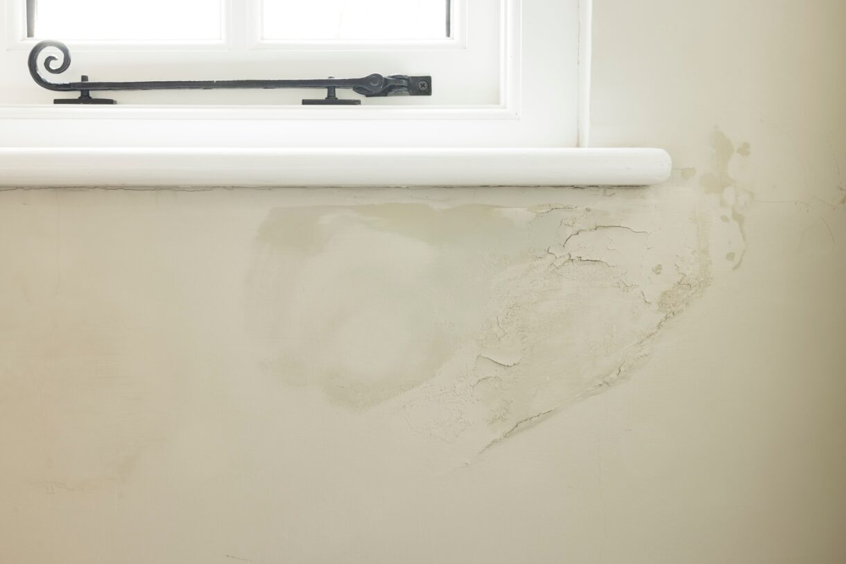Damp proofing your home: Guide to damp proof course and costs 2025 ...